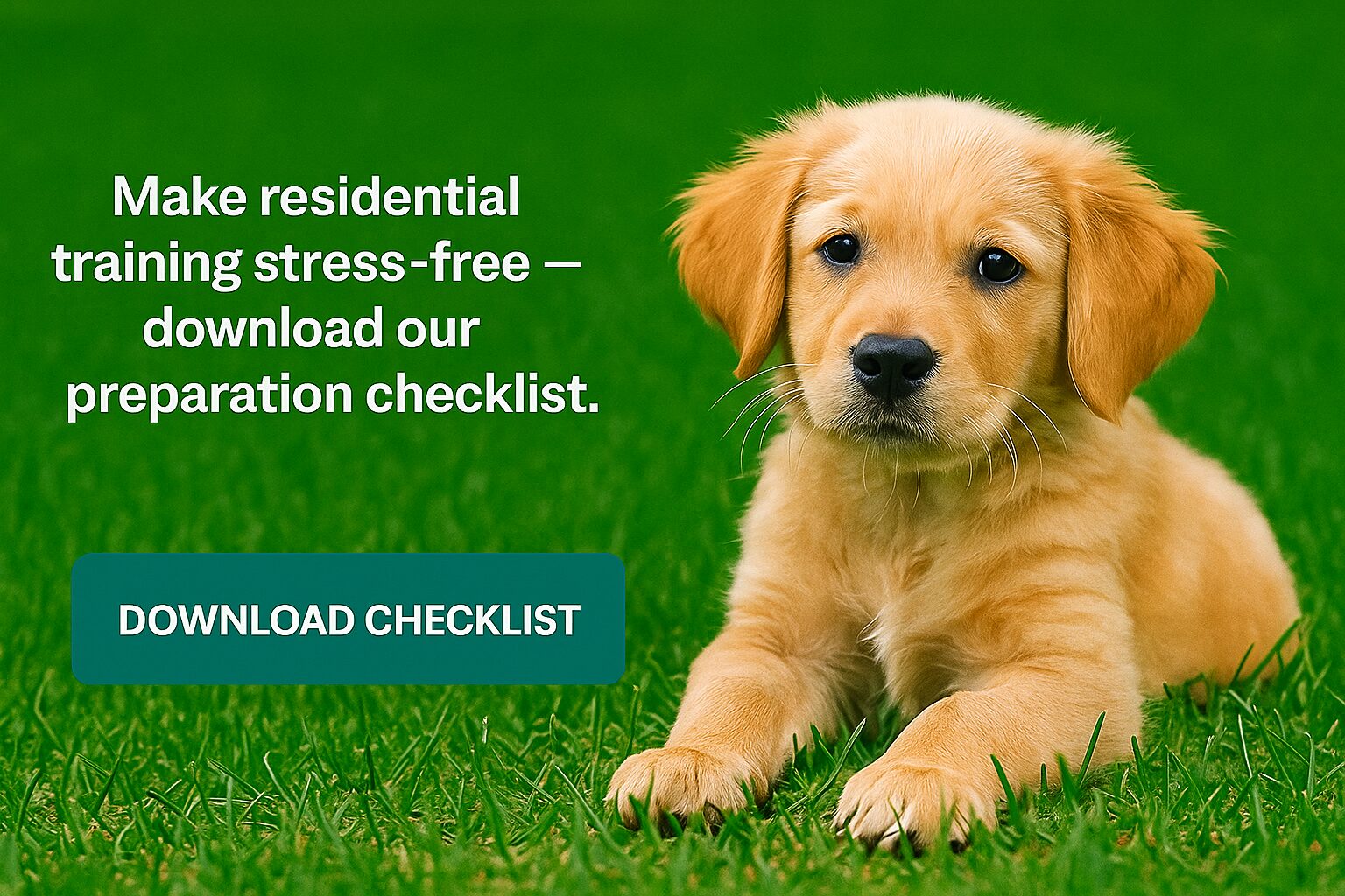 The Complete Guide to Residential Dog Training | K9 Generation